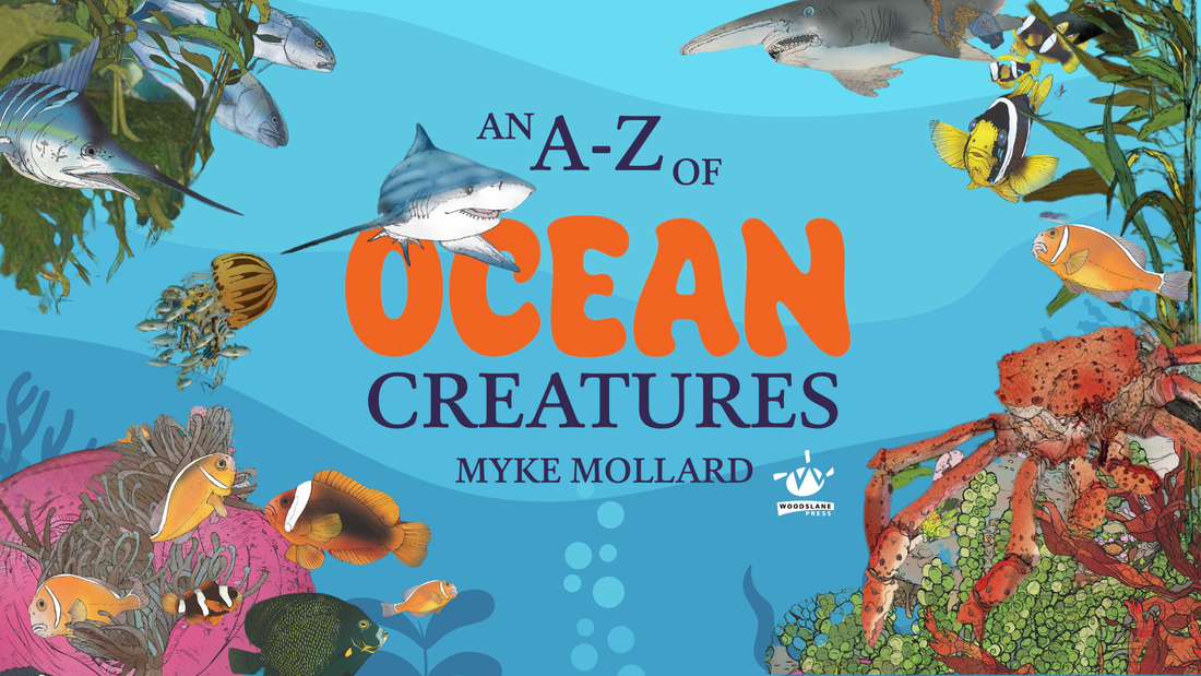 An A-Z of Ocean Creatures